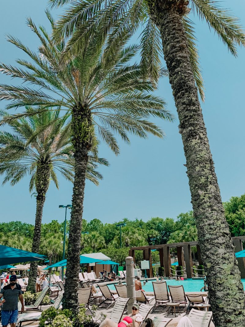 5 Reasons Why We Love Staying at Walt Disney’s Swan & Dolphin Resorts ...